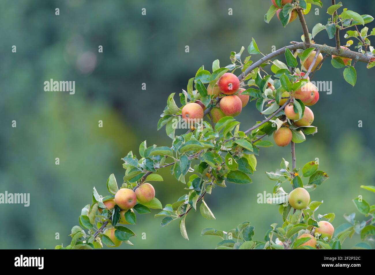 Horizontal format image hi-res stock photography and images - Alamy