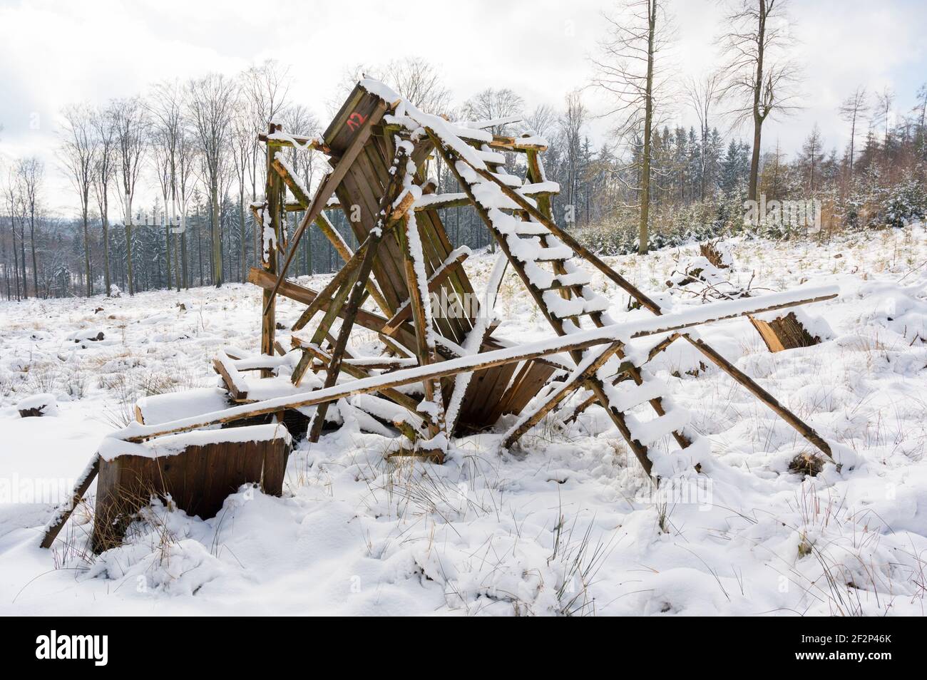 High seat after a storm on which a tree fell, Spessart, Bavaria ...