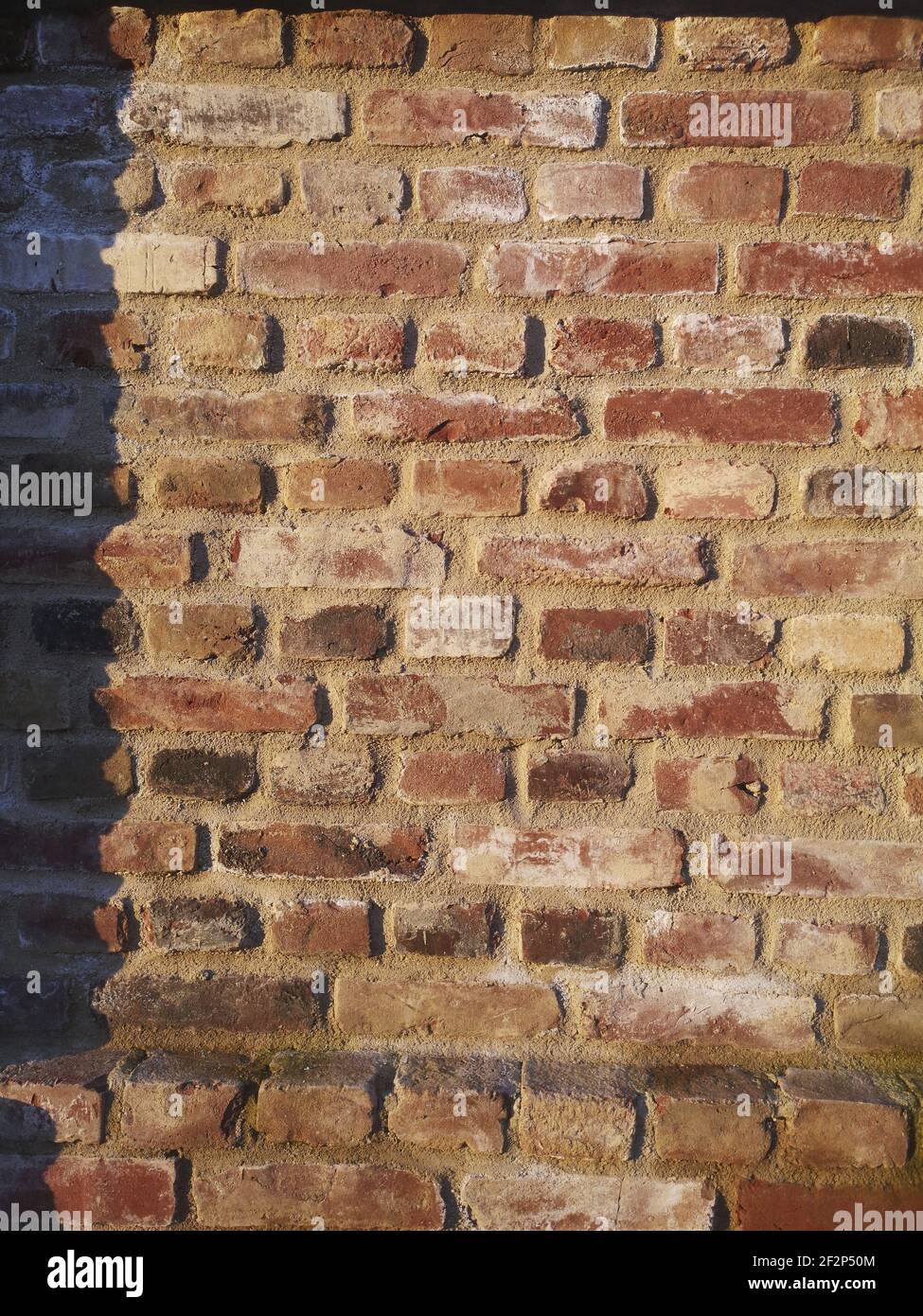 A brick wall texture background at sunlight Stock Photo - Alamy