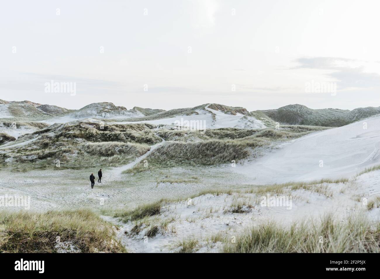 Dune walk in Denmark Stock Photo - Alamy
