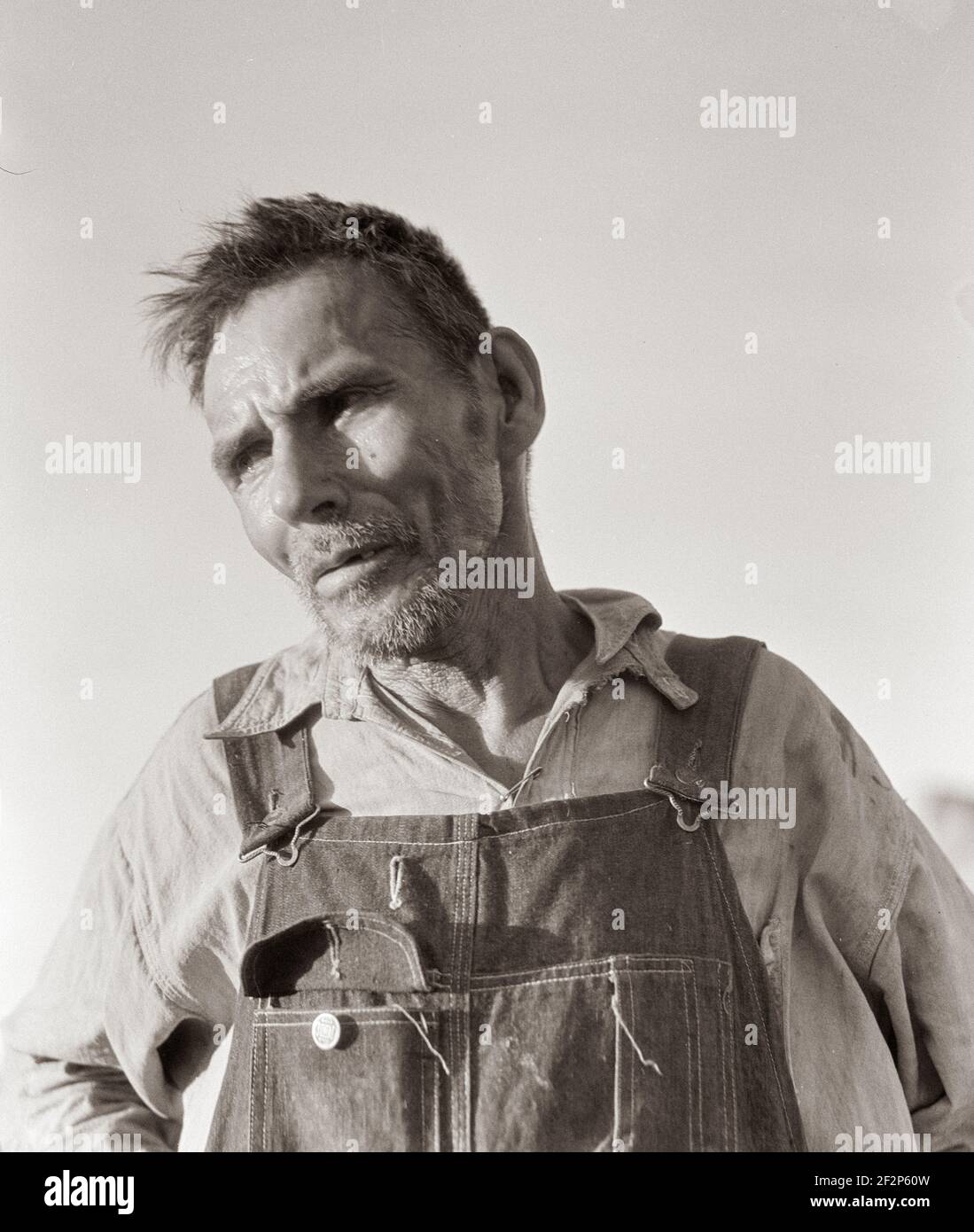 Imperial Valley, California. Old Mexican laborer saying "I have worked ...