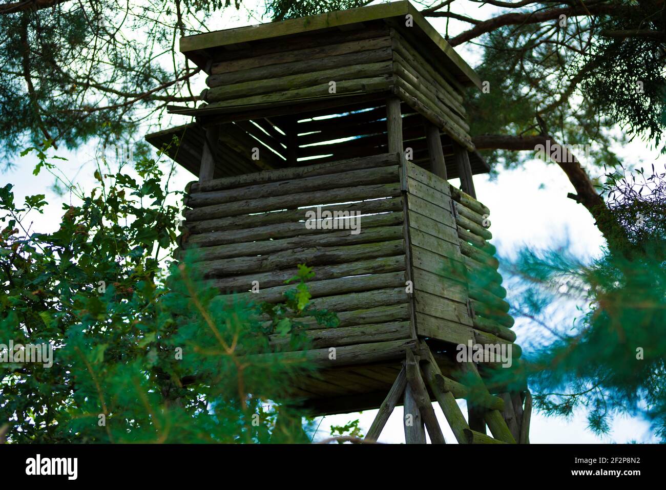 Wooden high seat hunters hi-res stock photography and images - Alamy