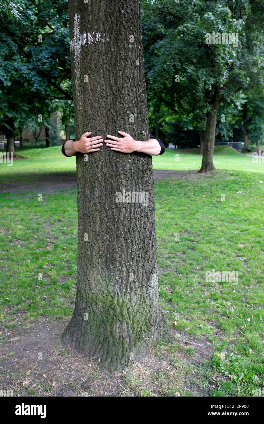 Hugging tree arms hi-res stock photography and images - Alamy