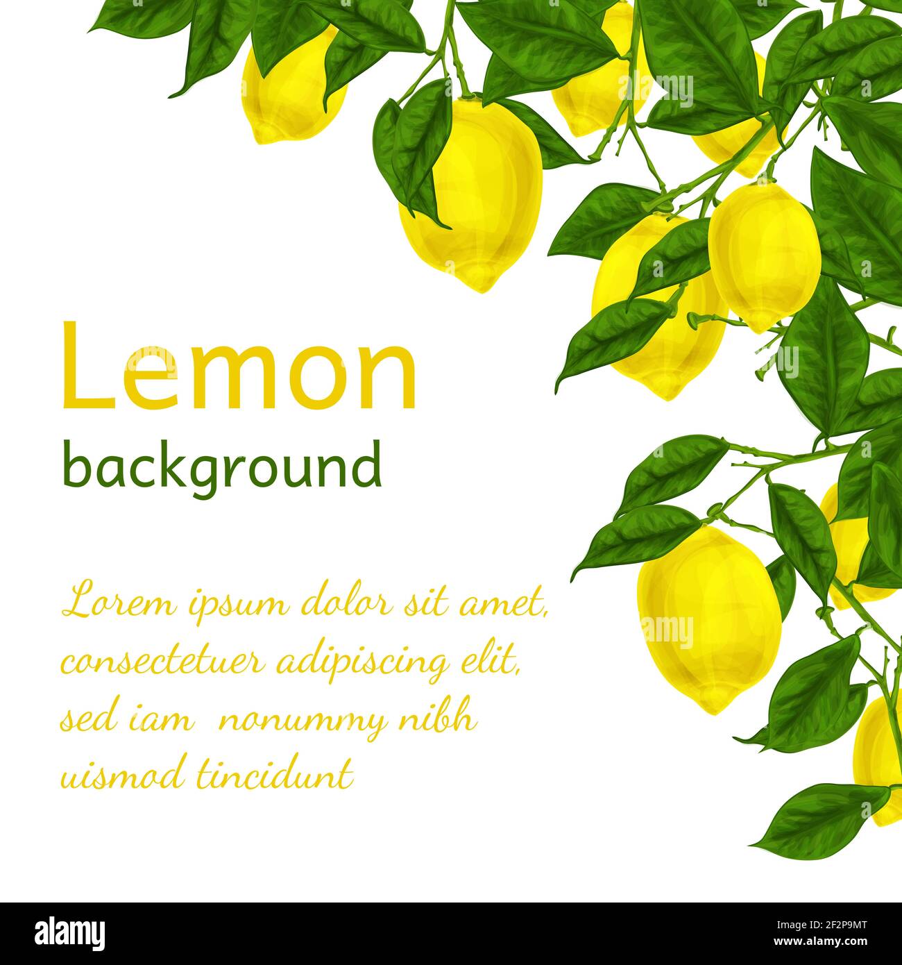 Natural organic ripe juicy lemon tree branch background poster frame ...