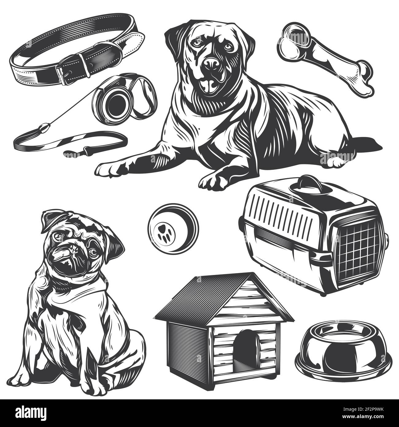 Set of dogs and its apps elements for creating your own badges, logos ...