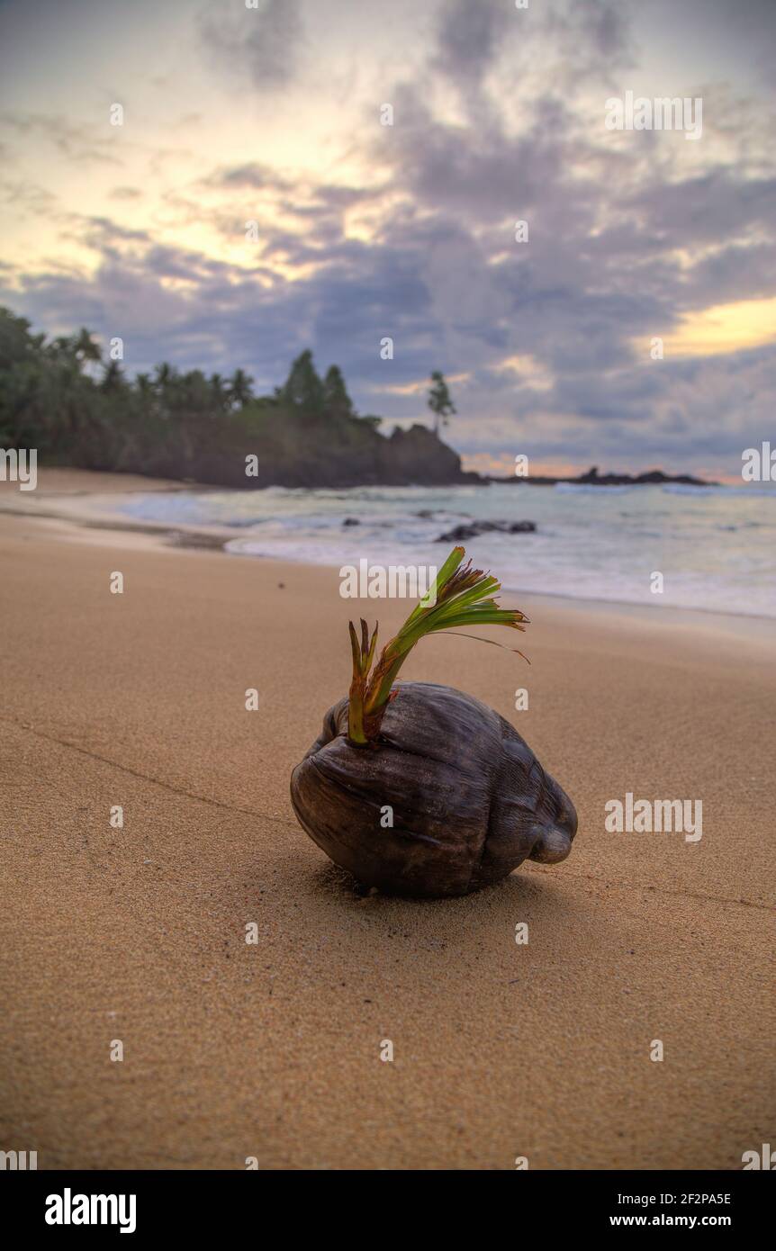 Immaculate waves hi-res stock photography and images - Alamy