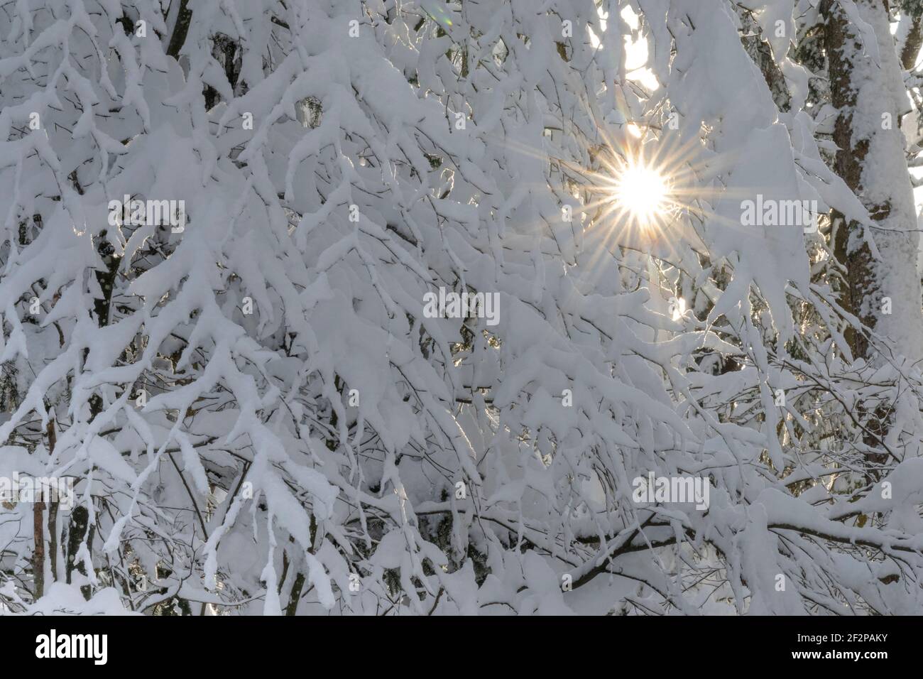 Rickenpass hi-res stock photography and images - Alamy