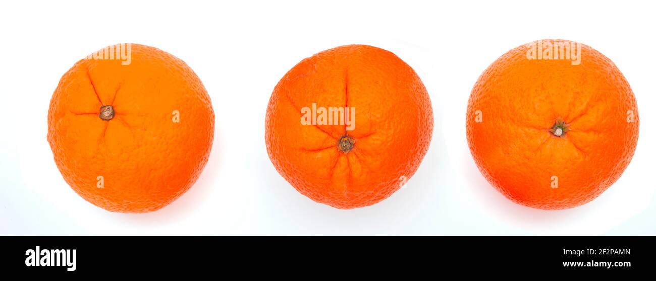 Citrus fruits in white background hi-res stock photography and images ...