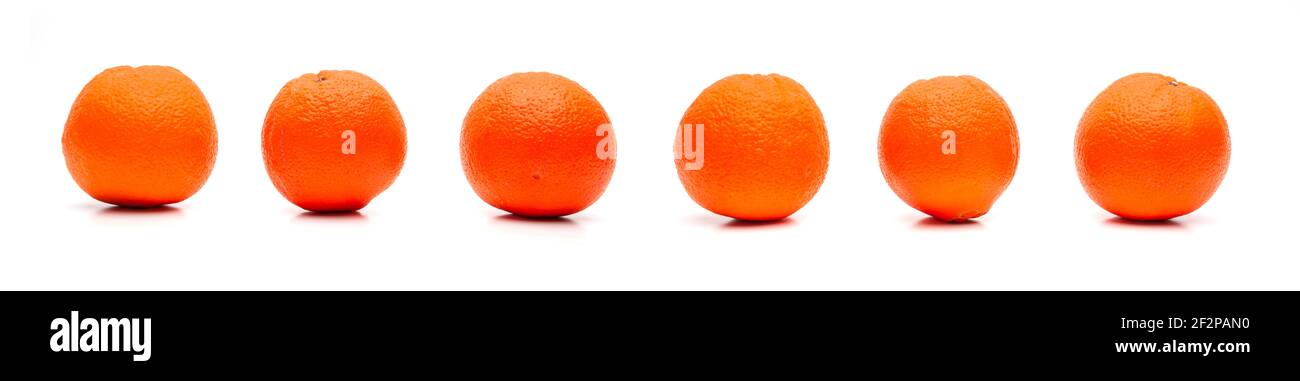 Citrus fruits in white background hi-res stock photography and images ...