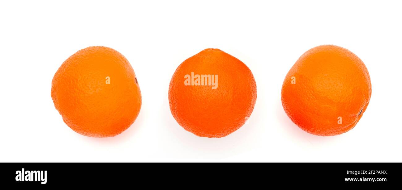 Oranges in a row isolated on a white background Stock Photo - Alamy