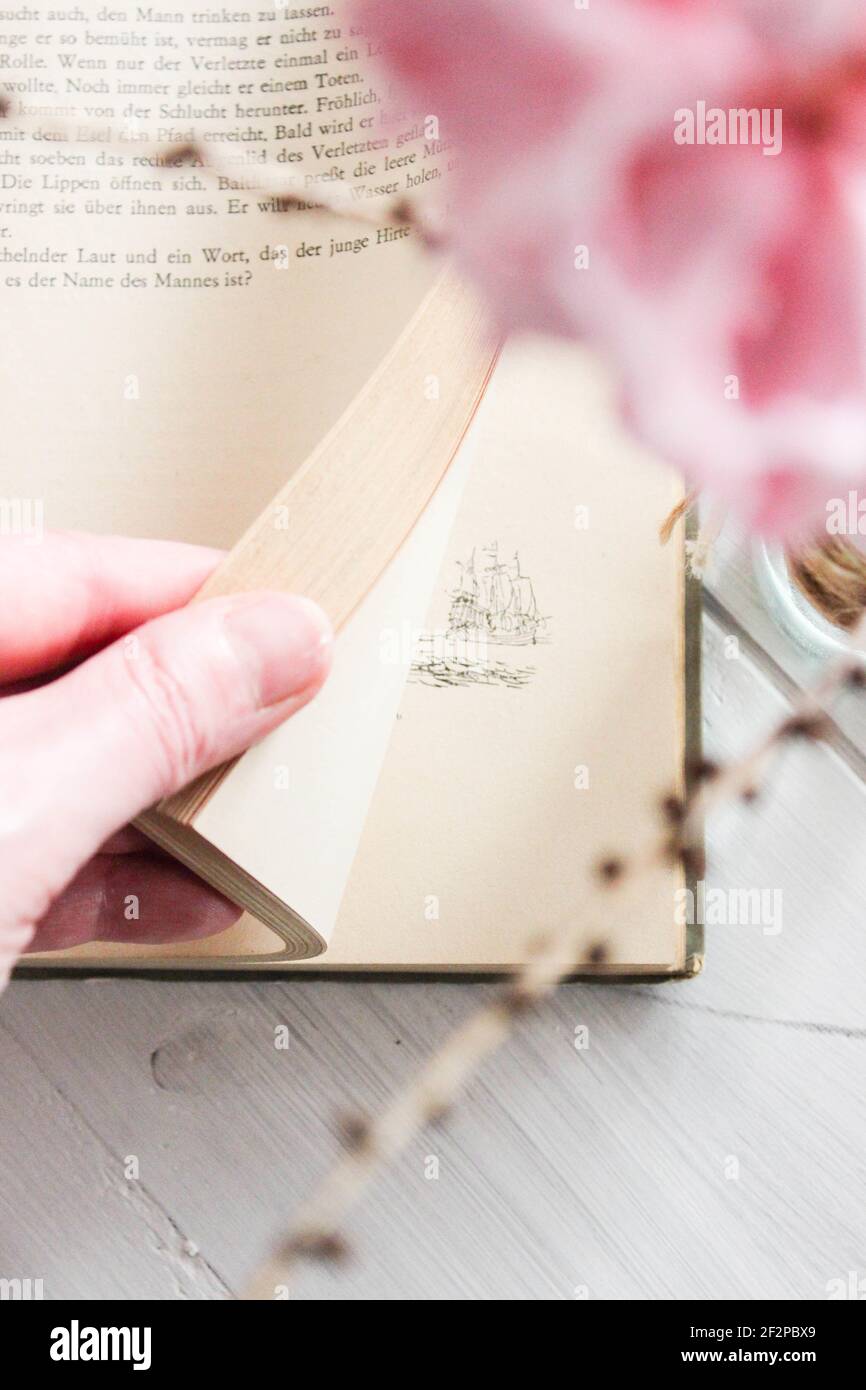 Hand holding book Stock Photo - Alamy