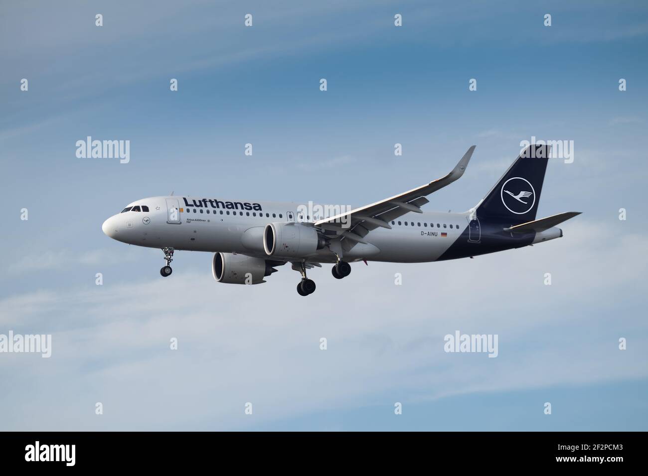 A320neo cabin hi-res stock photography and images - Alamy