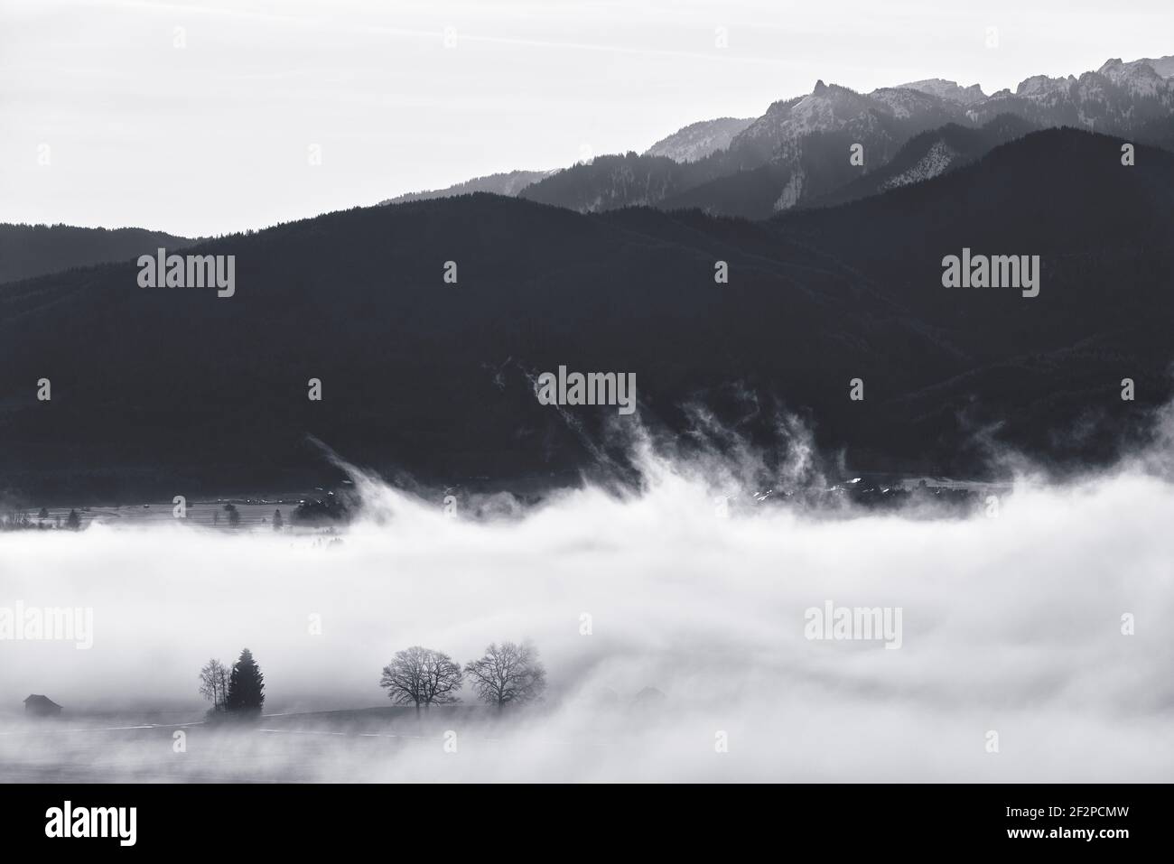 Rising fog over the Loisach-Kochelsee moors Stock Photo - Alamy