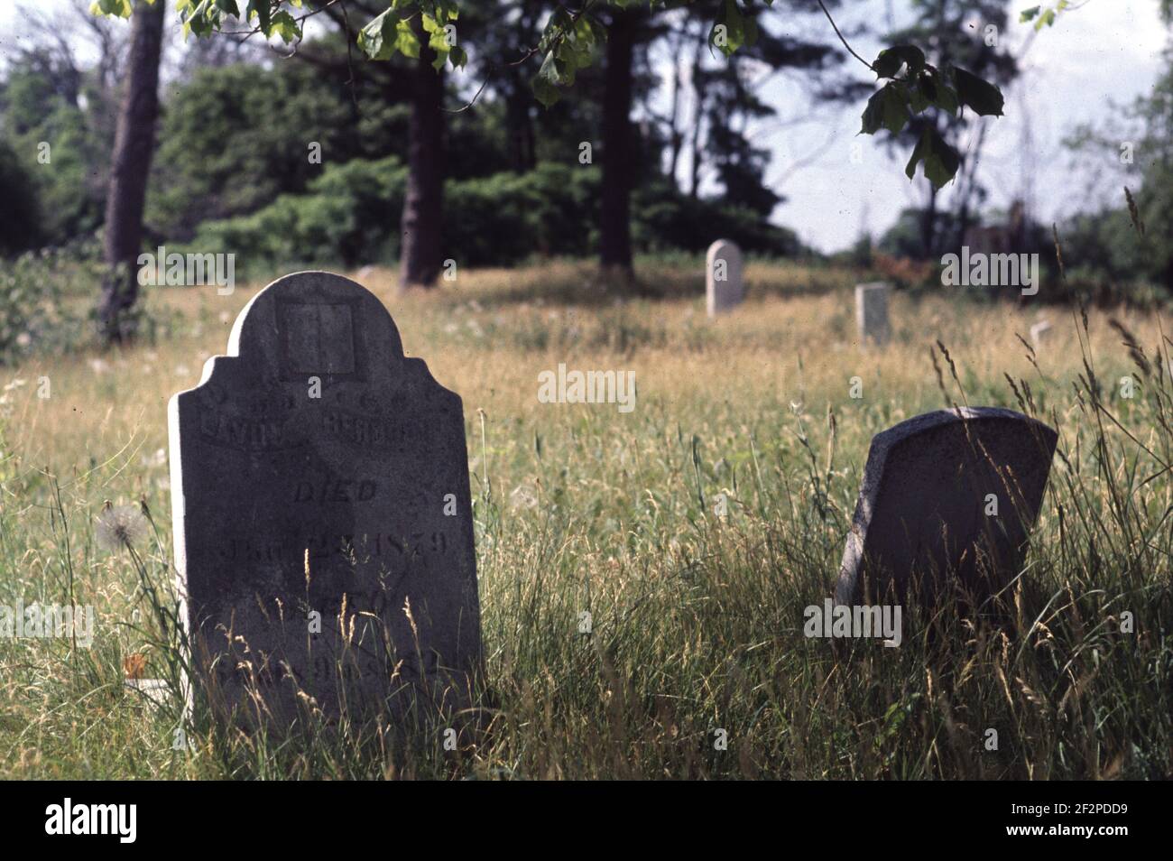 Old abandoned cemetery Stock Photo - Alamy
