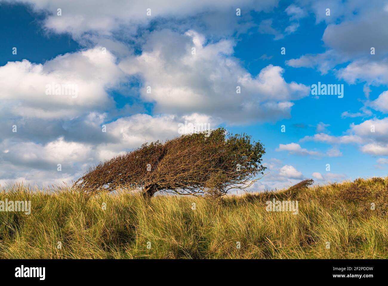 North jutland region hi-res stock photography and images - Alamy