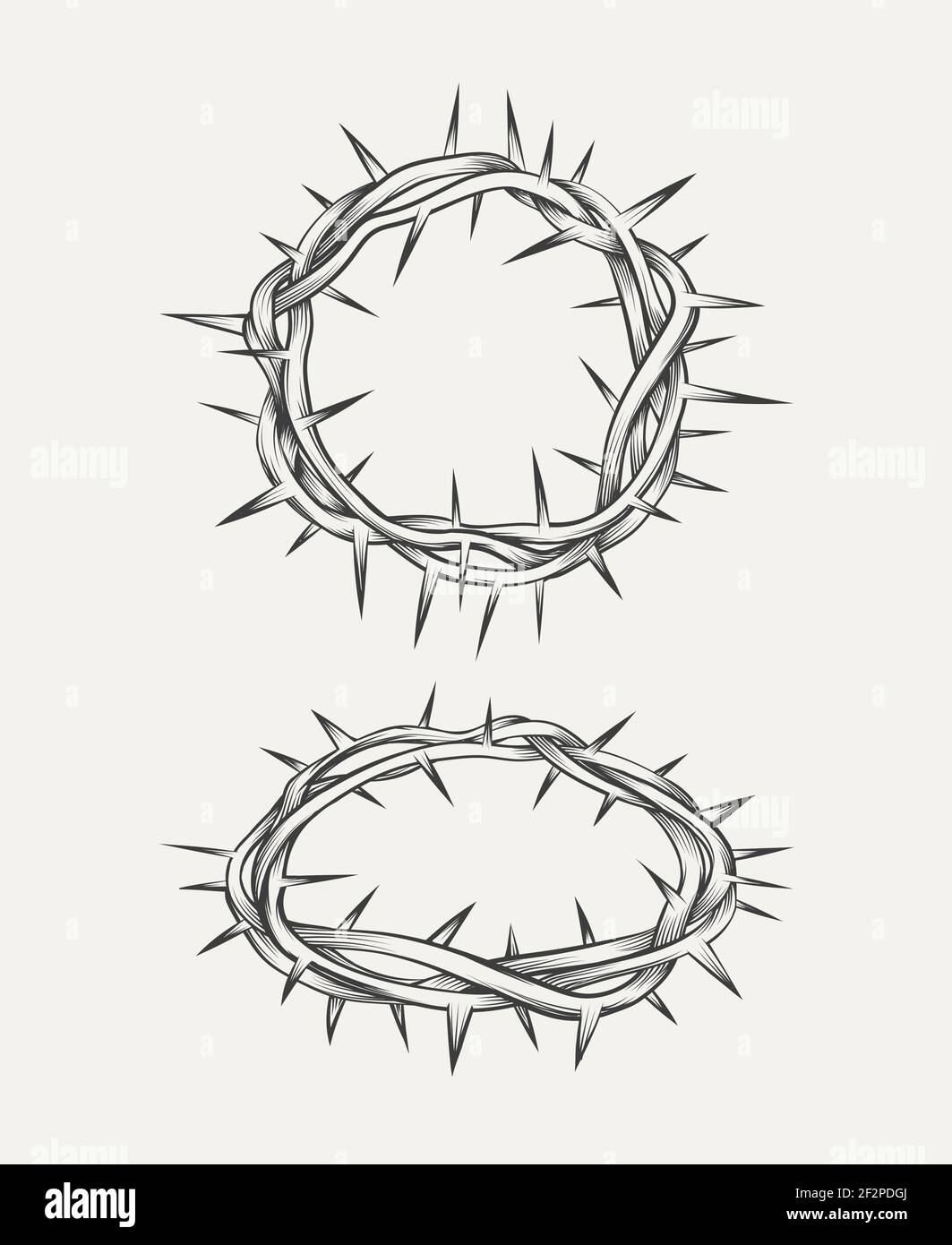 Crown Of Thorns Drawing