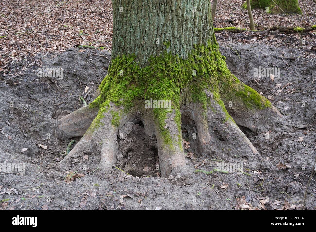 Horizontal format image hi-res stock photography and images - Alamy