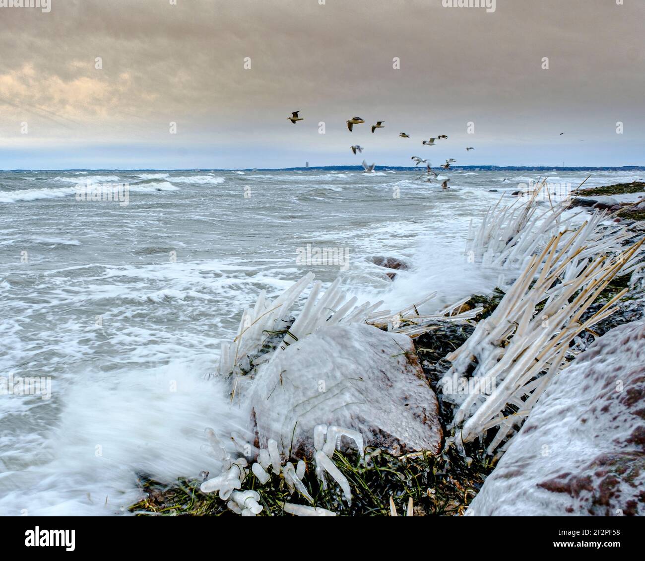 Winter storm on the Baltic Sea Stock Photo - Alamy
