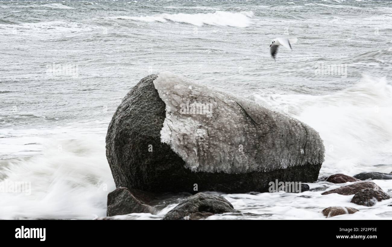 Ice-covered boulder on the Baltic Sea Stock Photo - Alamy