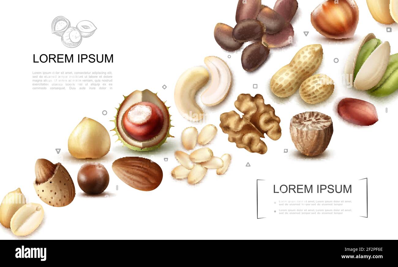 Realistic organic nuts collection with cashew pistachio chestnut ...