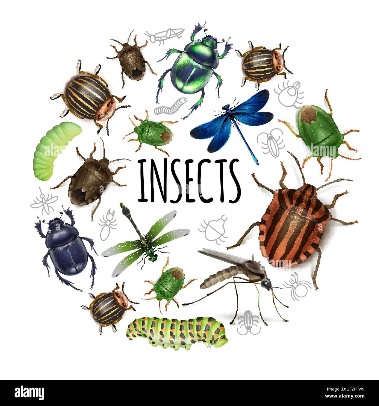 Realistic insects round concept with caterpillars dragonflies gnat ...