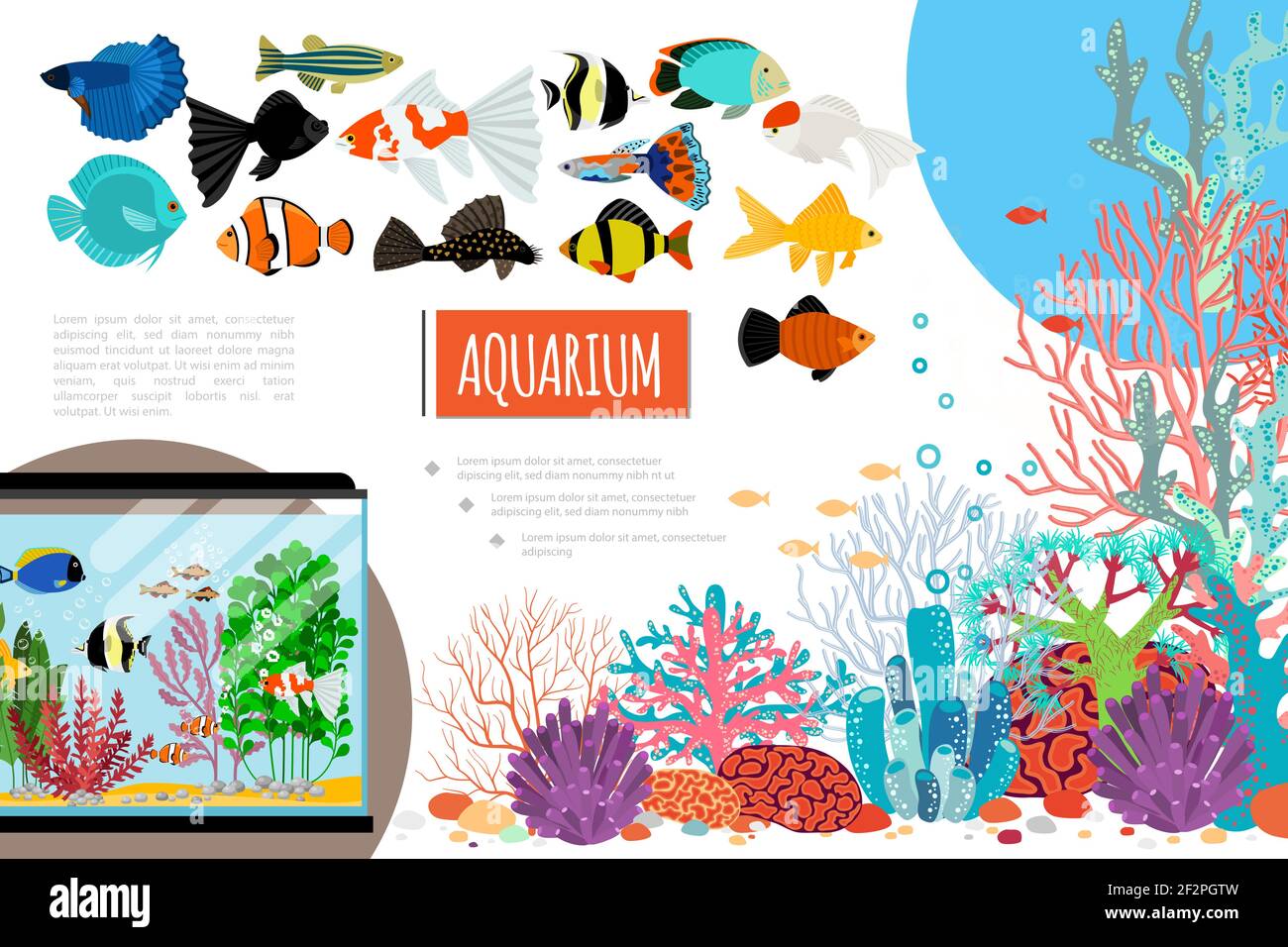 Flat aquarium elements composition with exotic colorful fishes corals ...