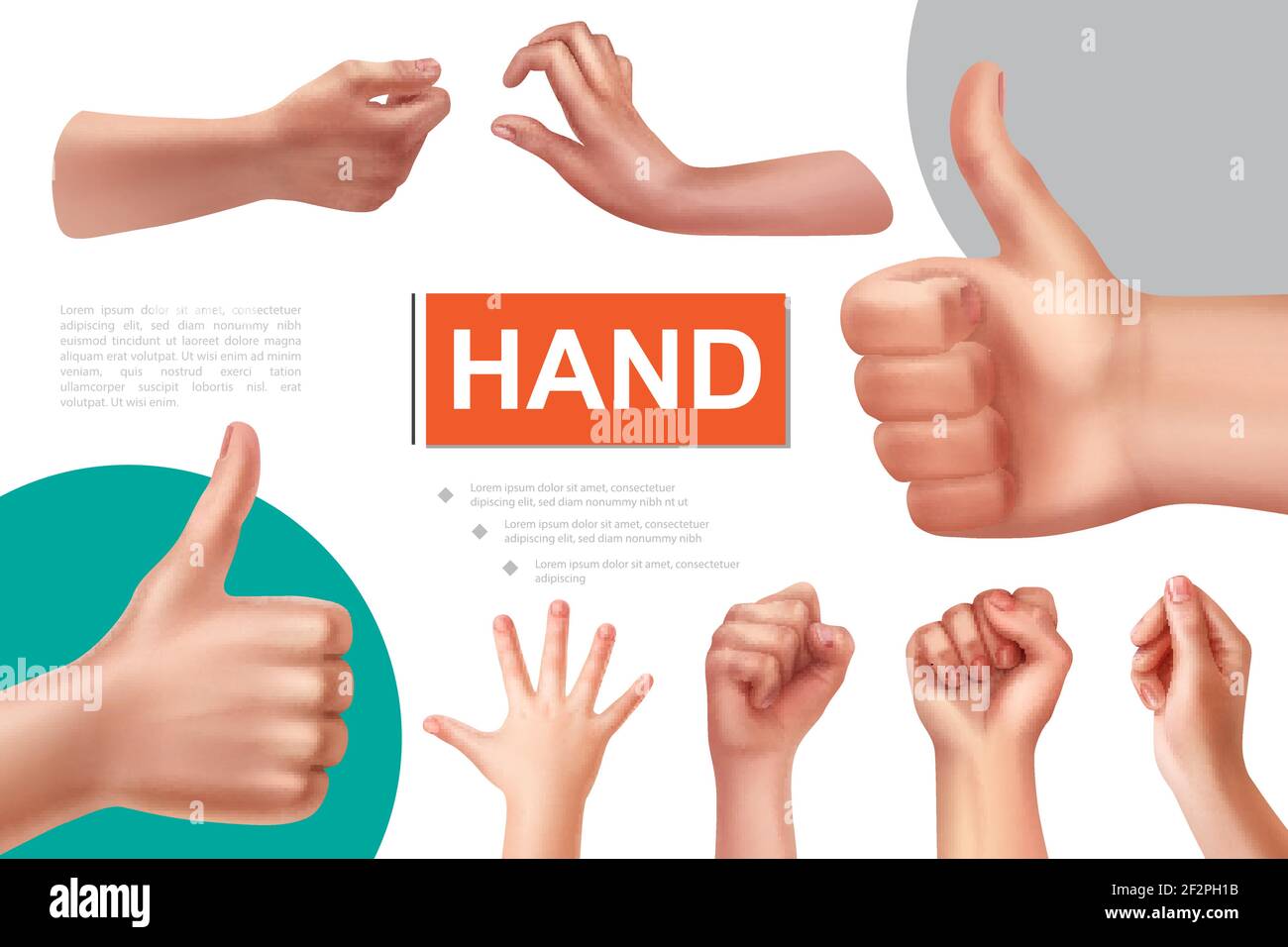 Realistic hand gestures composition with female fists okay sign taking ...
