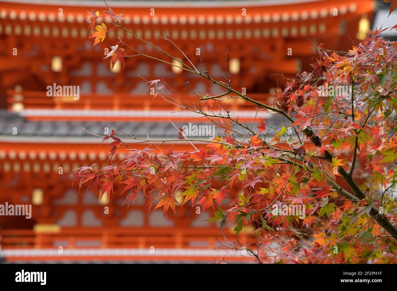 The Tochoji temple pagoda in late fall, Fukuoka JP Stock Photo - Alamy