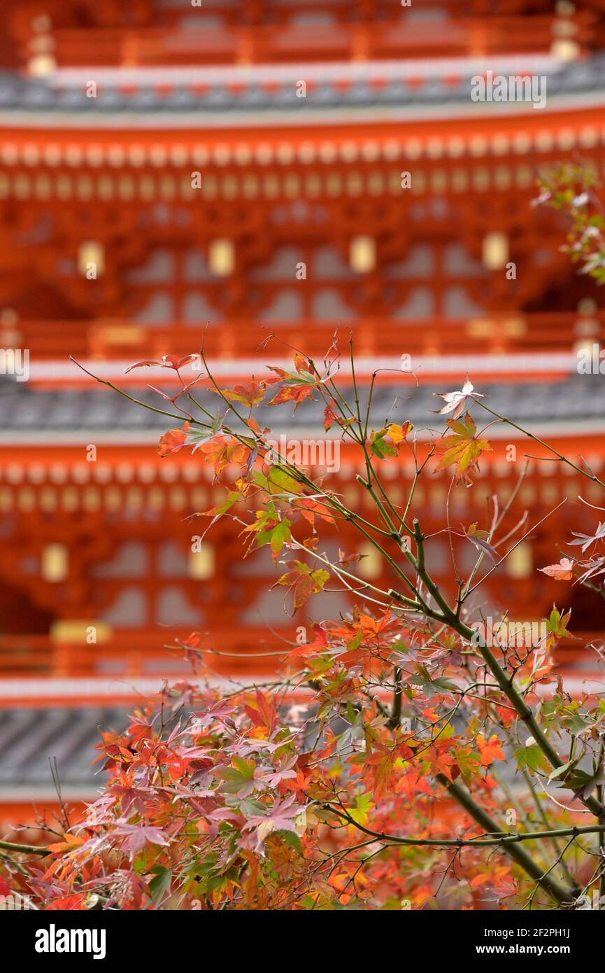 The Tochoji temple pagoda in late fall, Fukuoka JP Stock Photo - Alamy