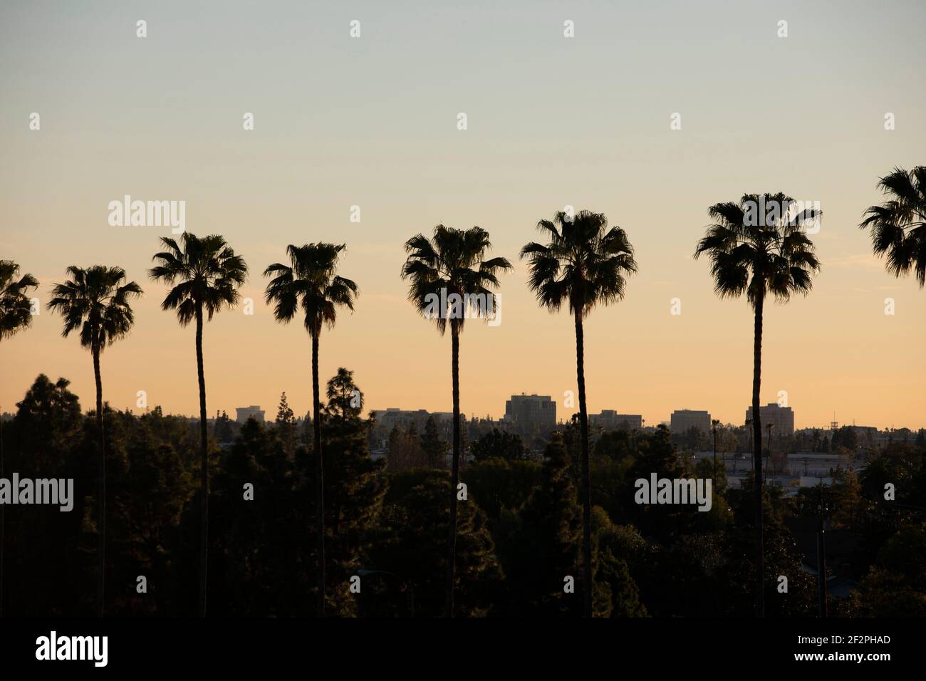 Palm lined sunset view of the downtown skyline of Anaheim, California ...