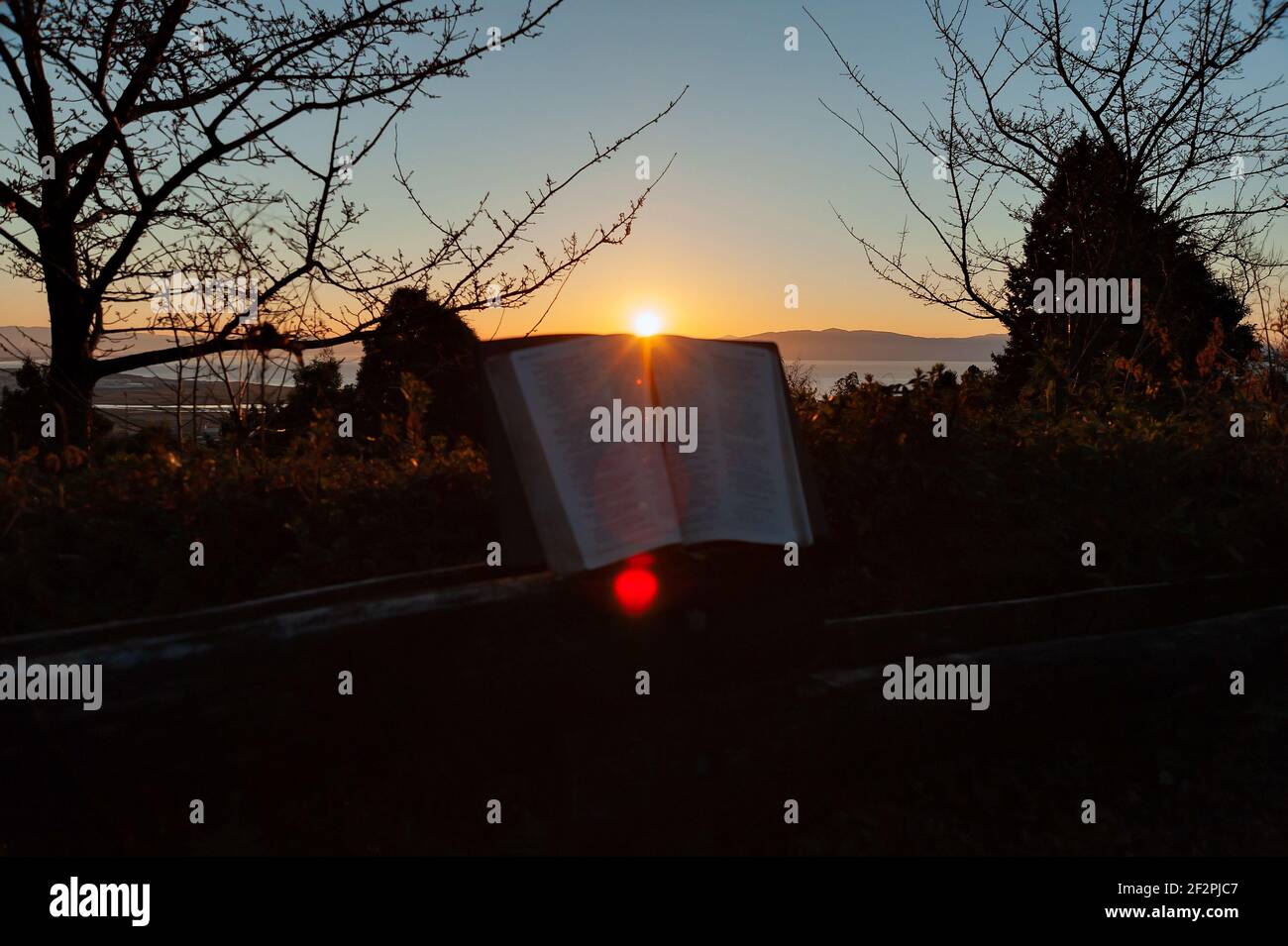 Holy Bible open at dawn with sunlight and lens flare. Horizontal shot ...