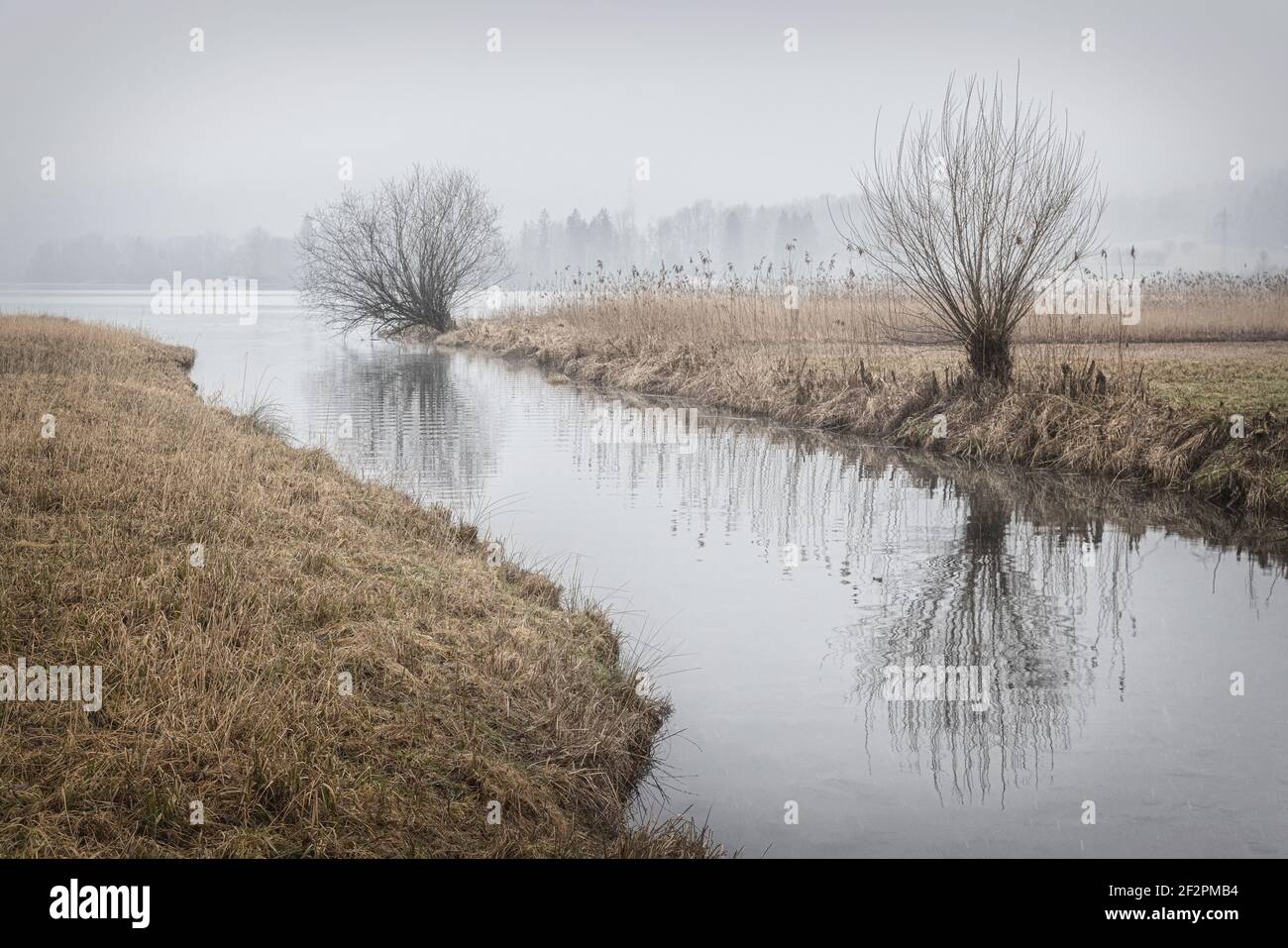 Stream course on the banks of the Kochelsee Stock Photo - Alamy
