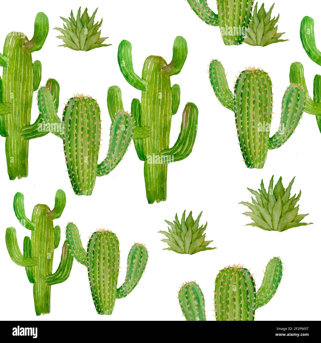 Succulents plants pots Cut Out Stock Images & Pictures - Alamy