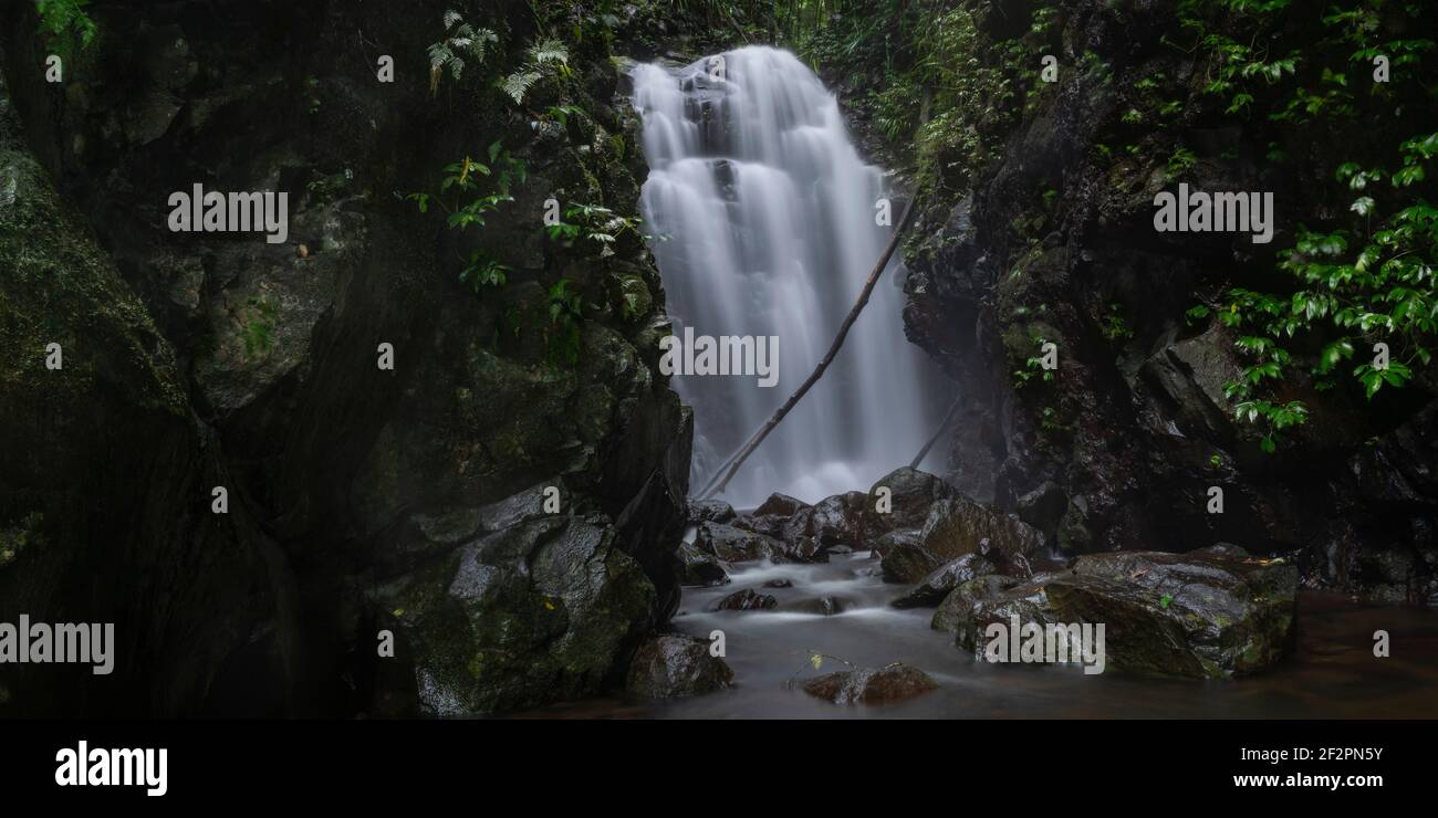 Box Log Falls Stock Photo - Alamy