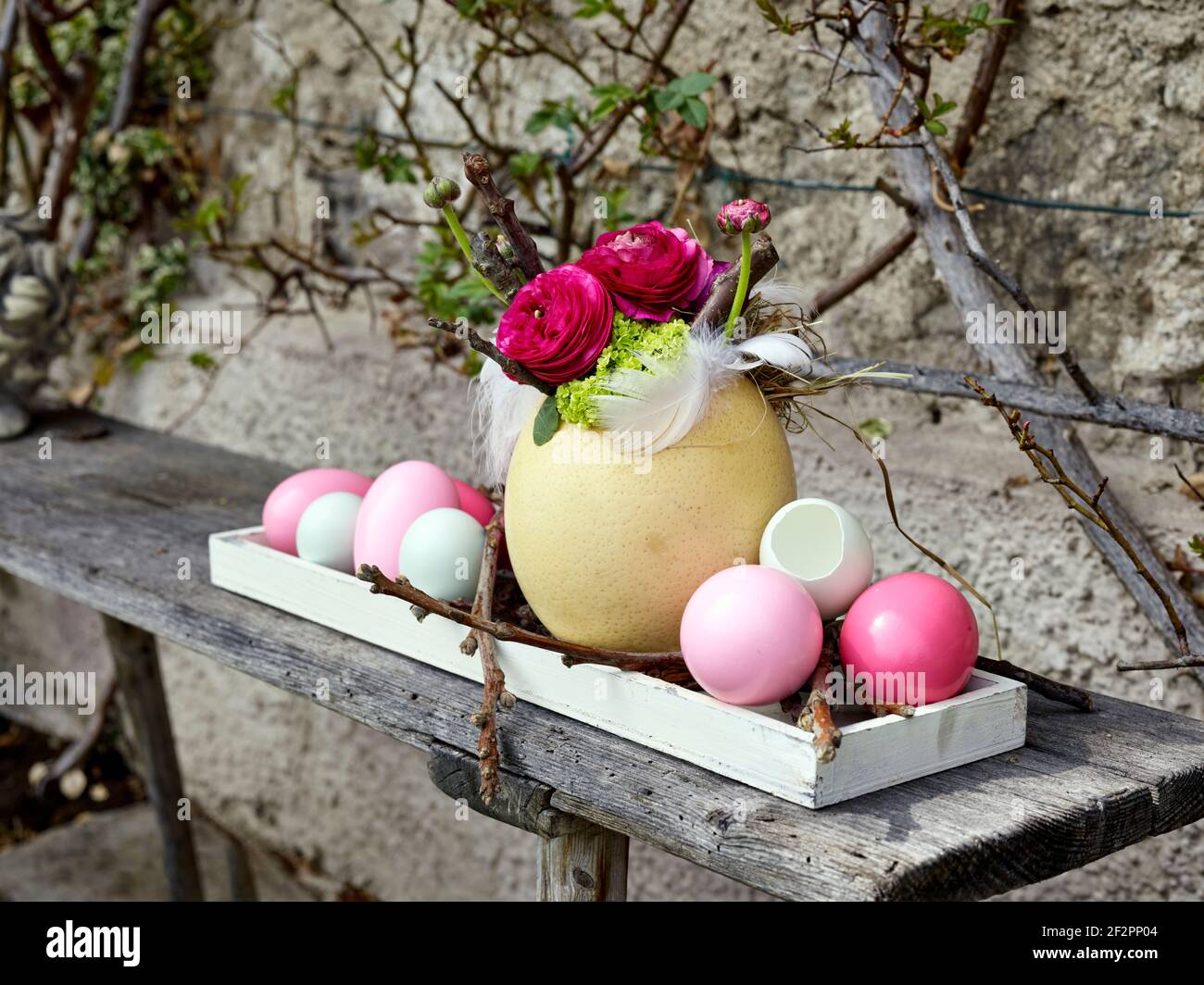 Ostrich egg and chicken egg hi-res stock photography and images - Alamy