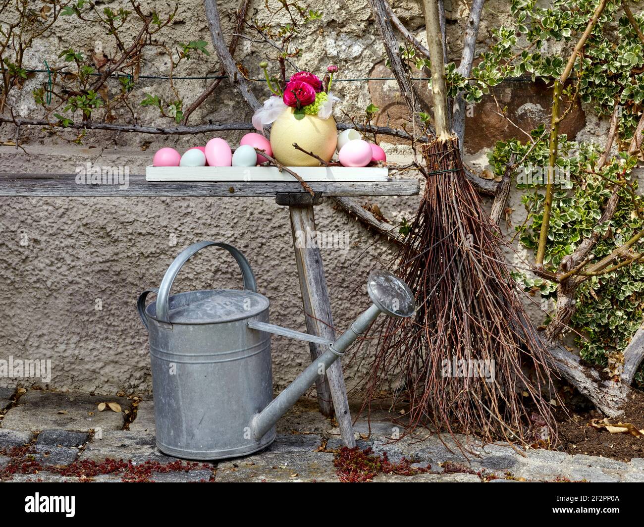 Ostrich egg and chicken egg hi-res stock photography and images - Alamy