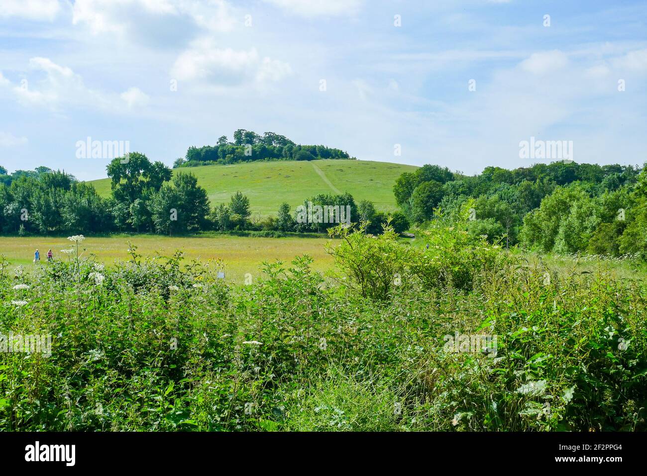 River Thames: View of Round Hill, one of the two Wittenham Clumps Stock ...
