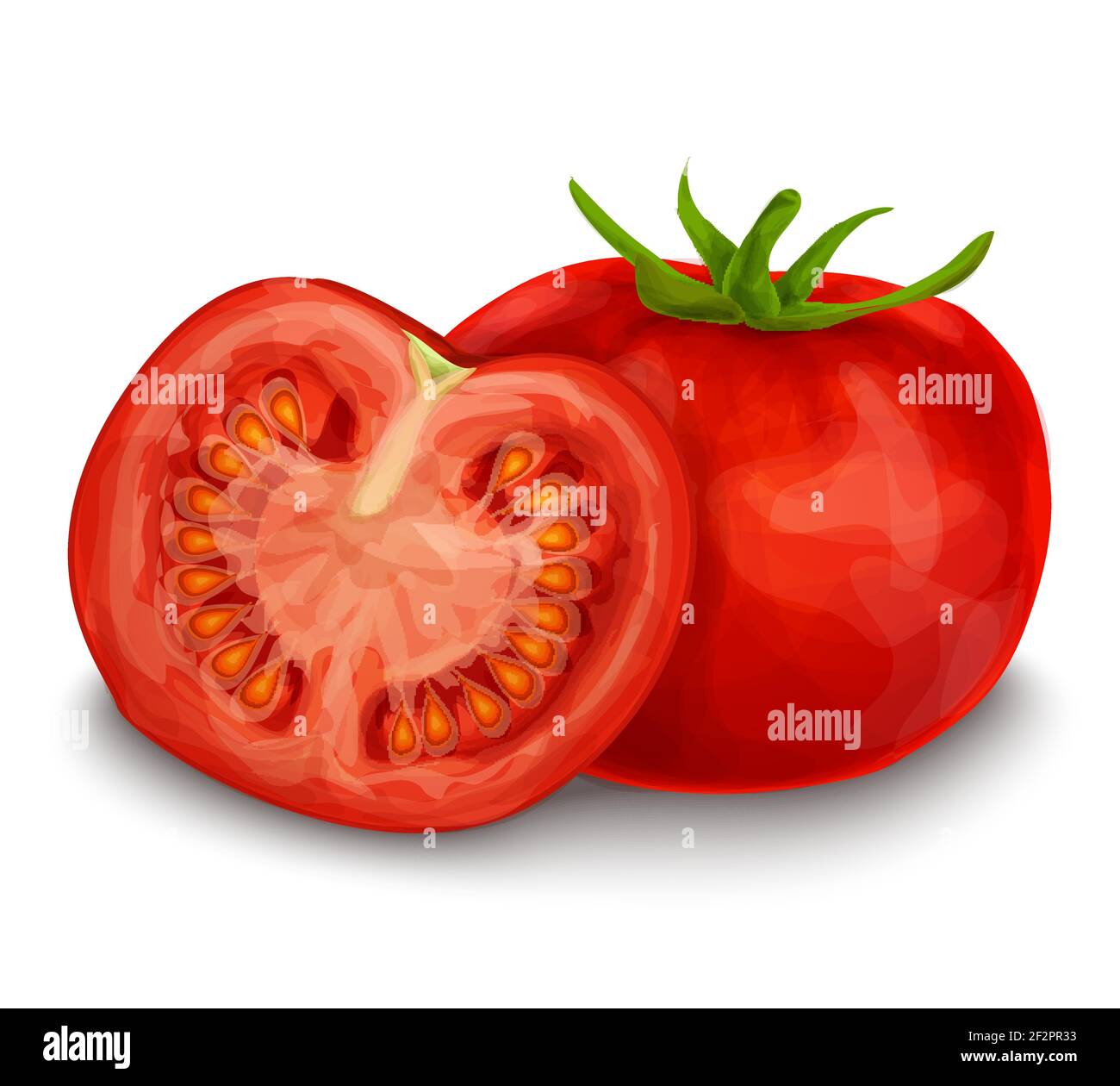 Tomato cut Stock Vector Images - Alamy