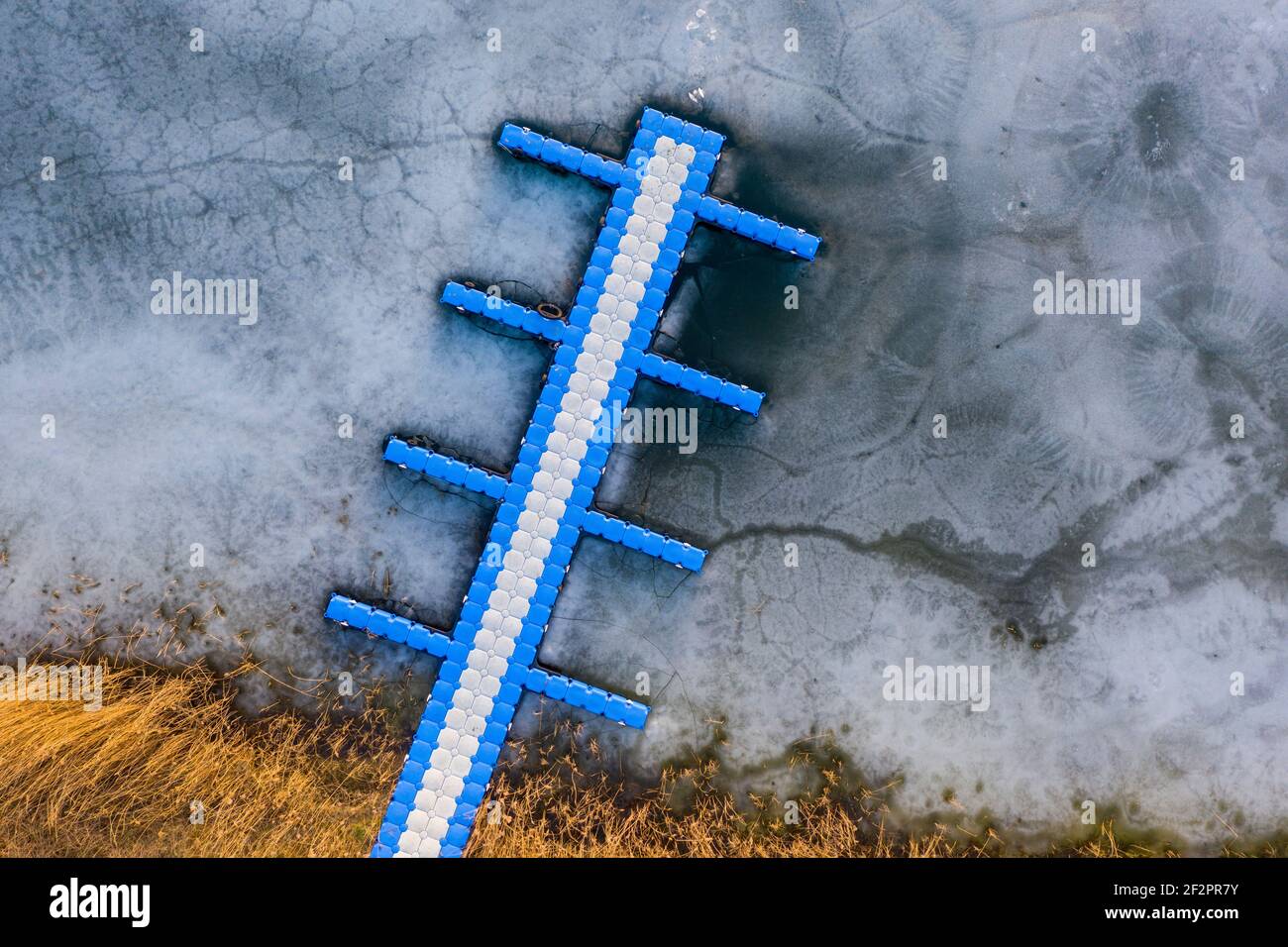Aerial view lake birds animals hi-res stock photography and images - Alamy