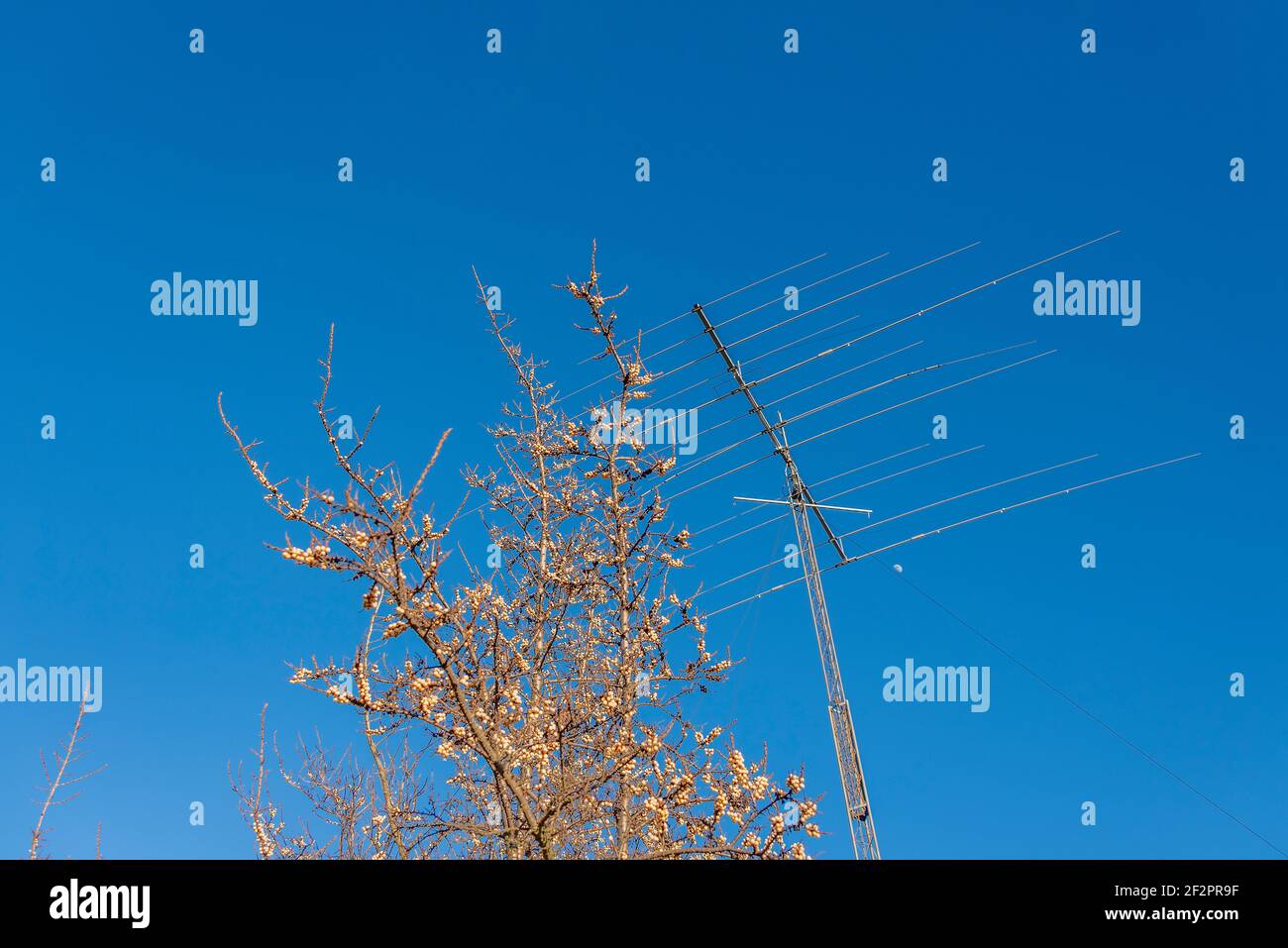 Amateur radio antenna hi-res stock photography and images - Alamy