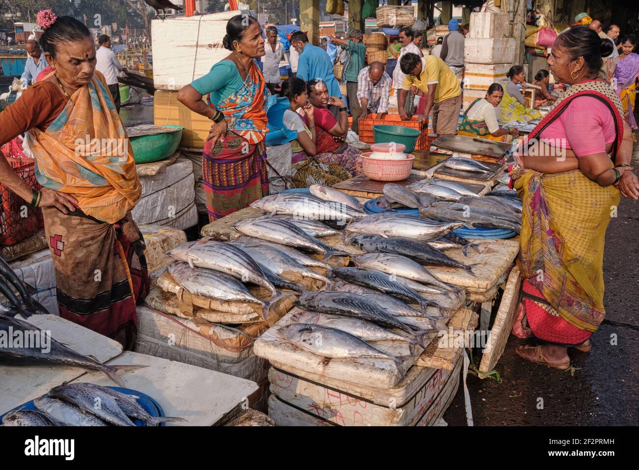 Women of the Koli ethnic community selling fish at Sassoon Docks, a ...