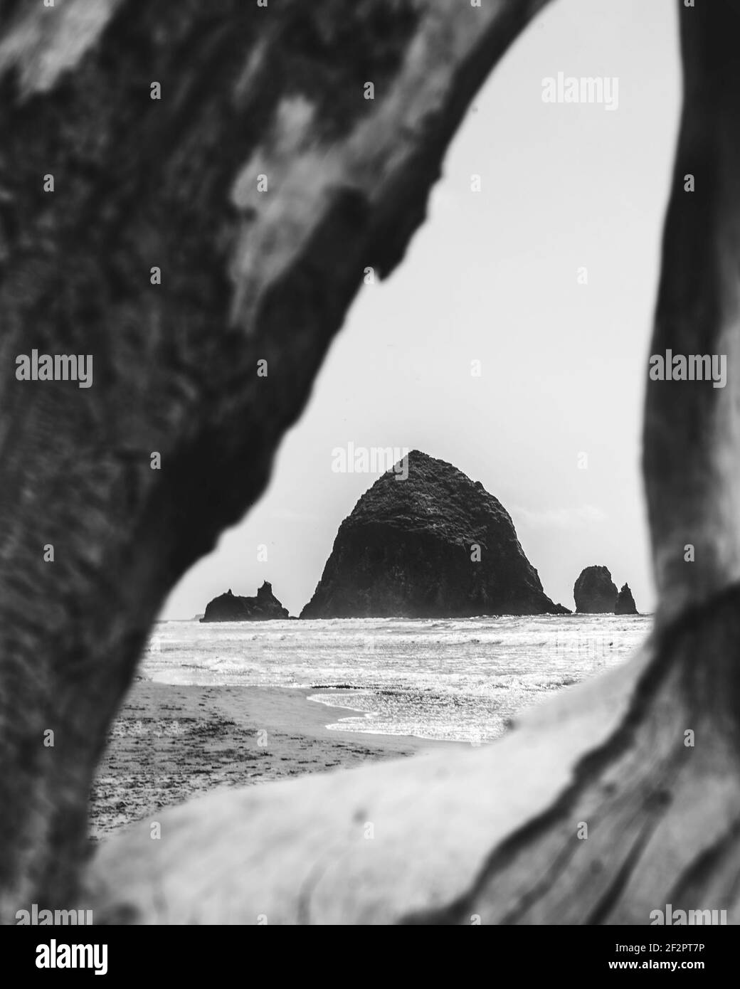 Pacific northwest vacation Black and White Stock Photos & Images - Alamy