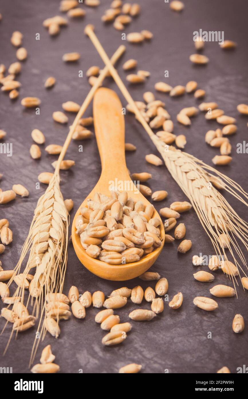 Wooden spoon with rye or wheat grains and ears of cereal. Vintage photo ...