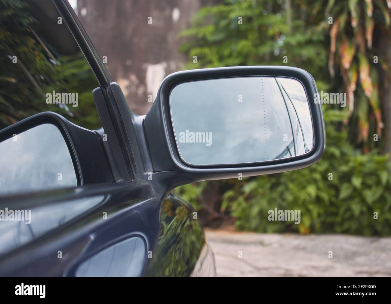 Car Wing Mirror or Side Mirror on Green Tree Background with Natural ...