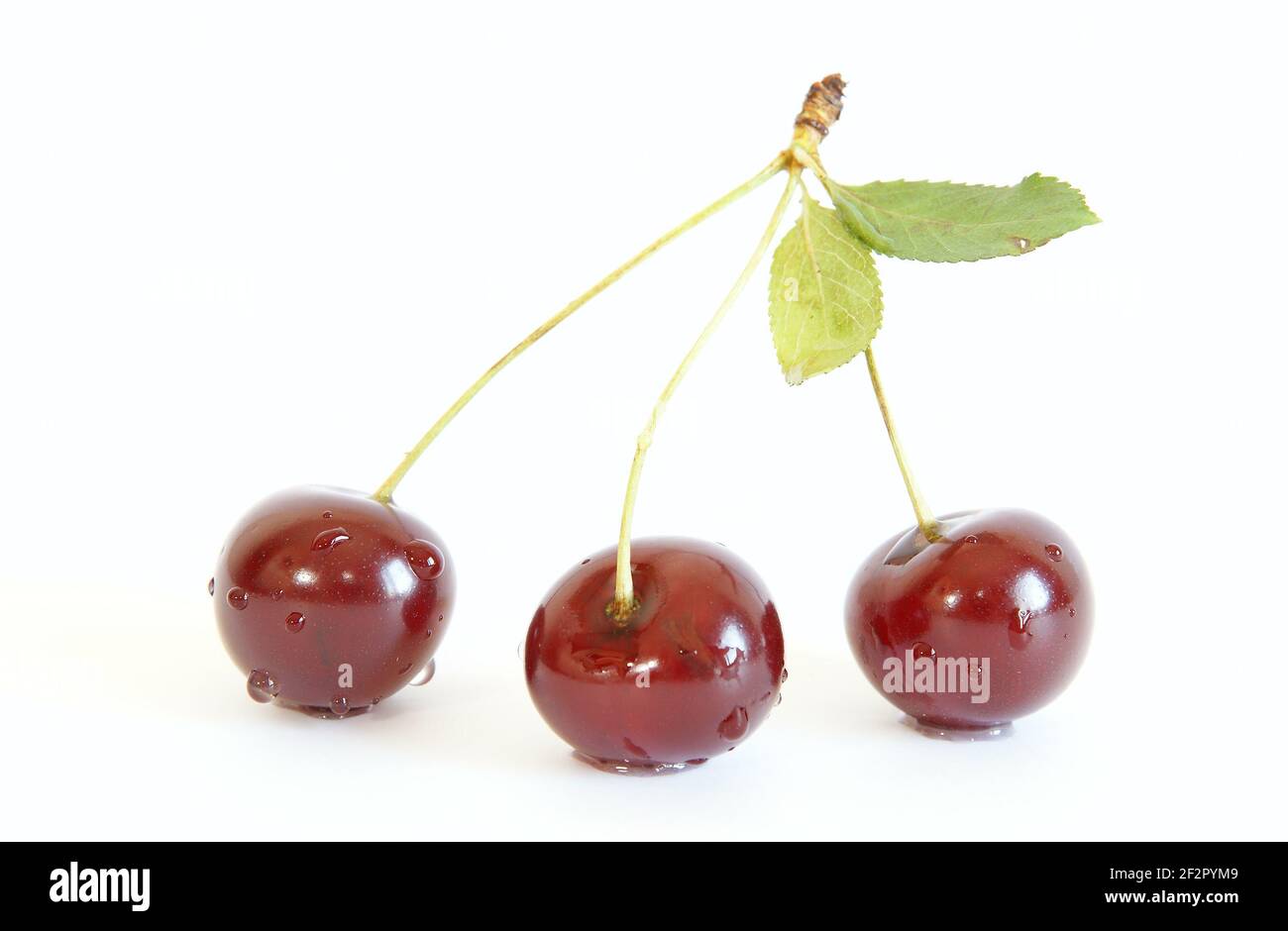 Fresh bright red cherry closeup, isolated on a white background Stock ...