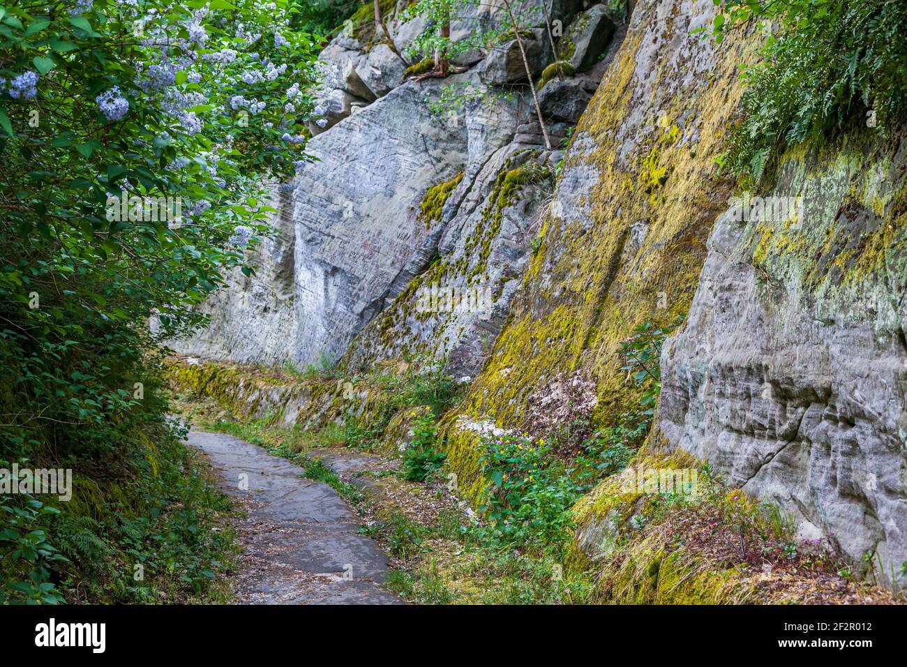 Schloss Schlosspark Langenstein Harz Stock Photo - Alamy