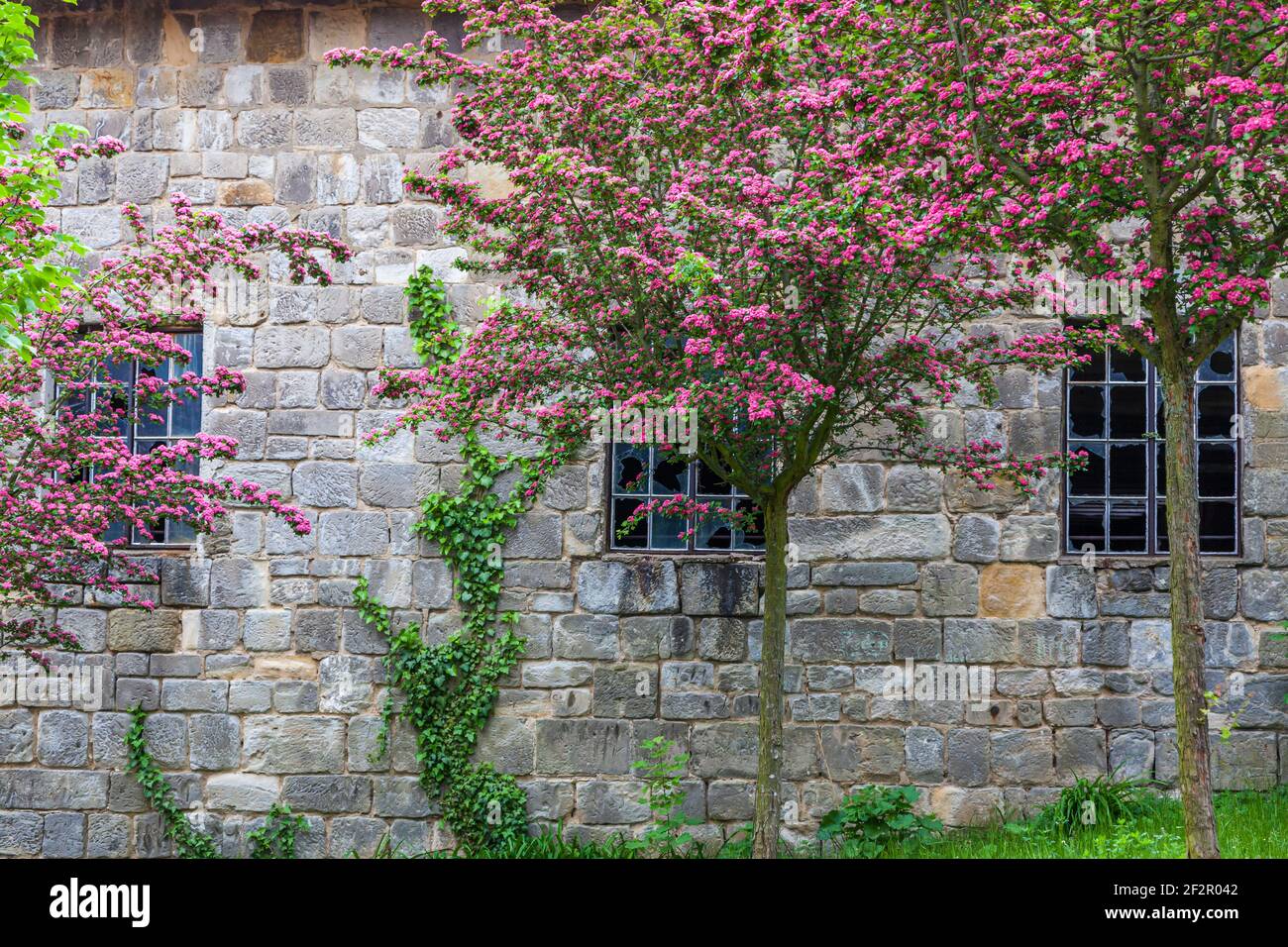 Schloss Schlosspark Langenstein Harz Stock Photo - Alamy