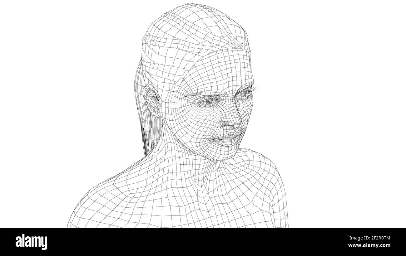 Wireframe portrait of a young beautiful girl Stock Vector Image & Art ...