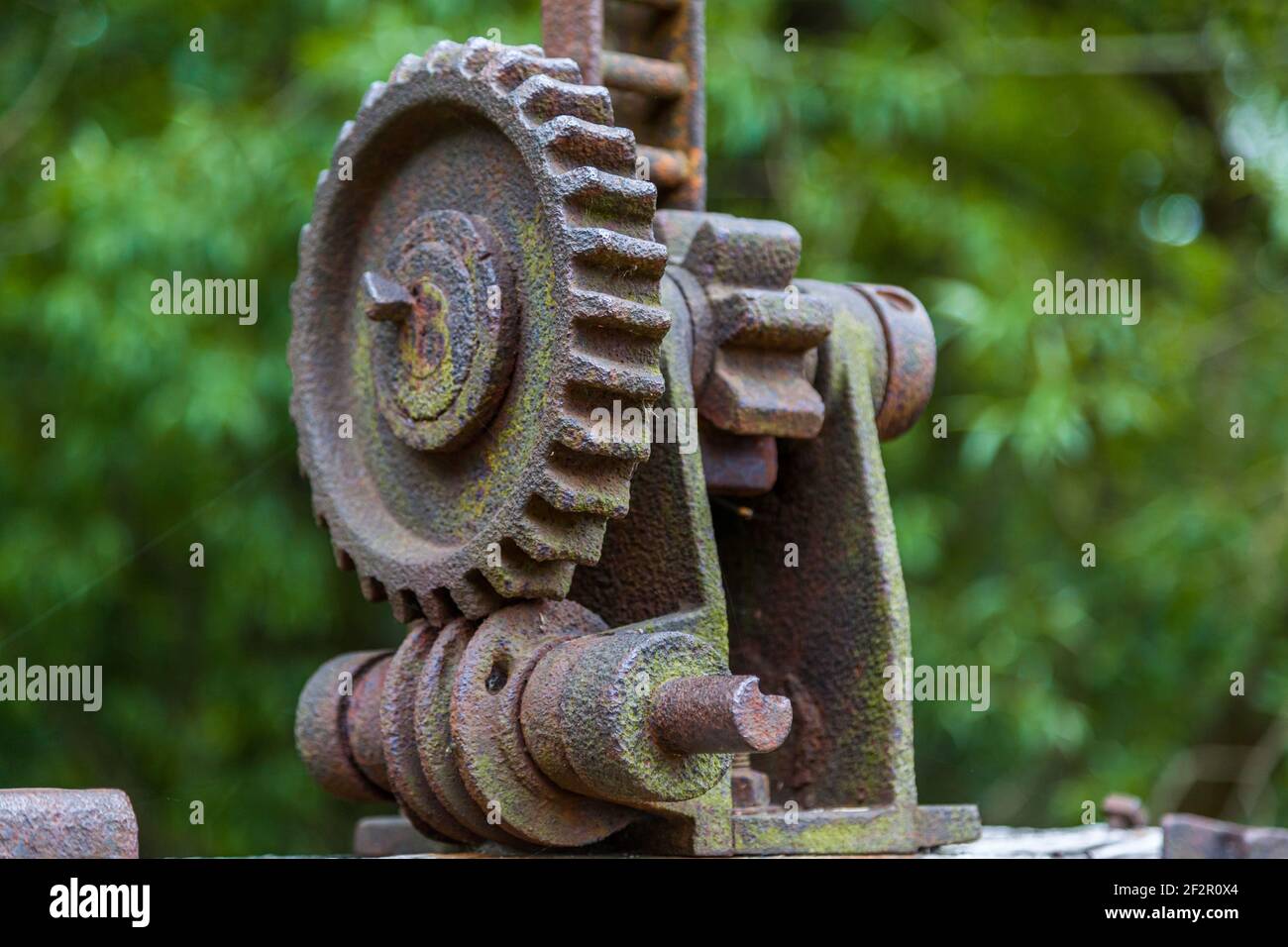 Langenstein langenstein im harz hi-res stock photography and images - Alamy
