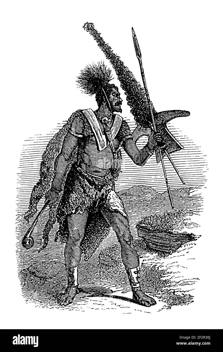 Antique 19th-century engraving of a Basotho warrior. Illustration ...